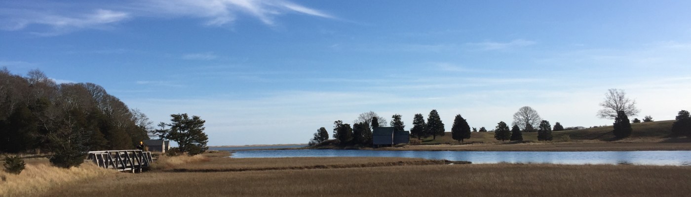 About – Jen Manion